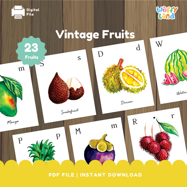 Vintage Fruit Flashcards – Retro-Style Fruit Vocabulary – wuffyplayandlearn
