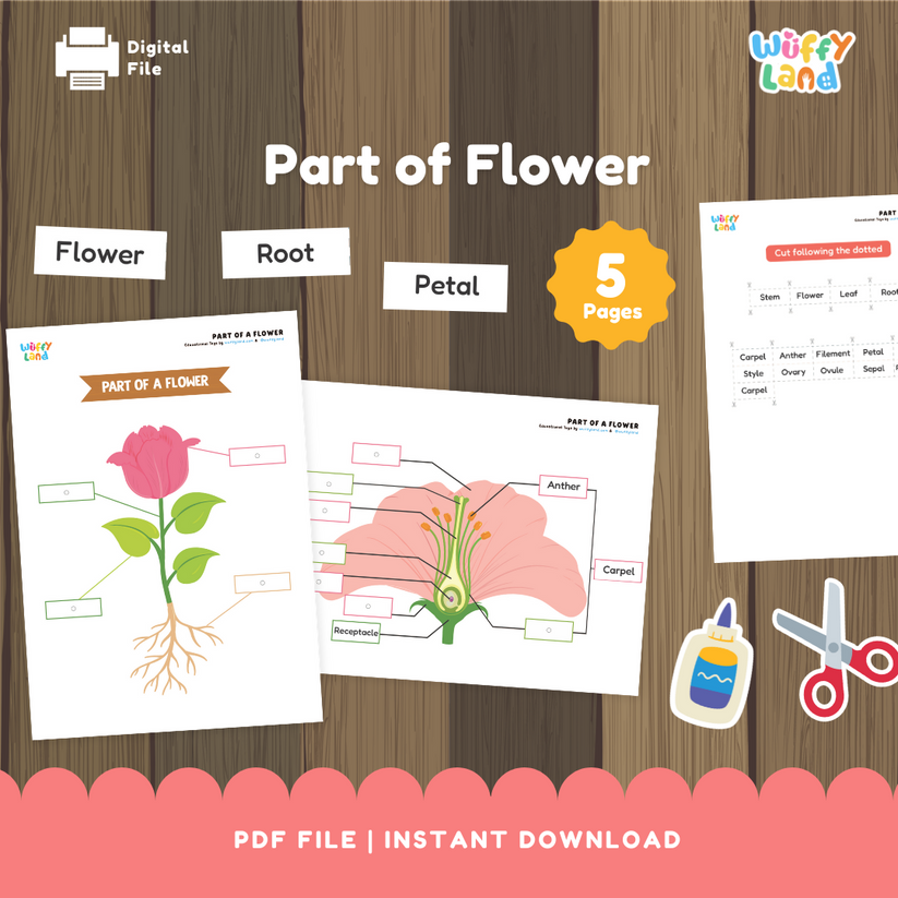 Parts of a Flower Worksheet - Labeling & Cut and Paste Activity - Plan ...