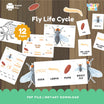 Fly Life Cycle Printable - Educational Science Activity for Kids - Mon ...