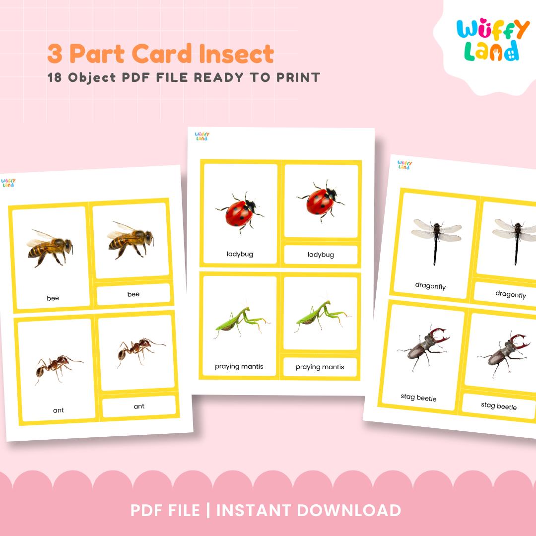 3 Part Cards Insects Montessori Printable – 18 Insect Nomenclature Car ...
