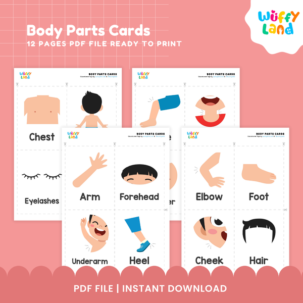 Body Parts Cards – wuffyplayandlearn