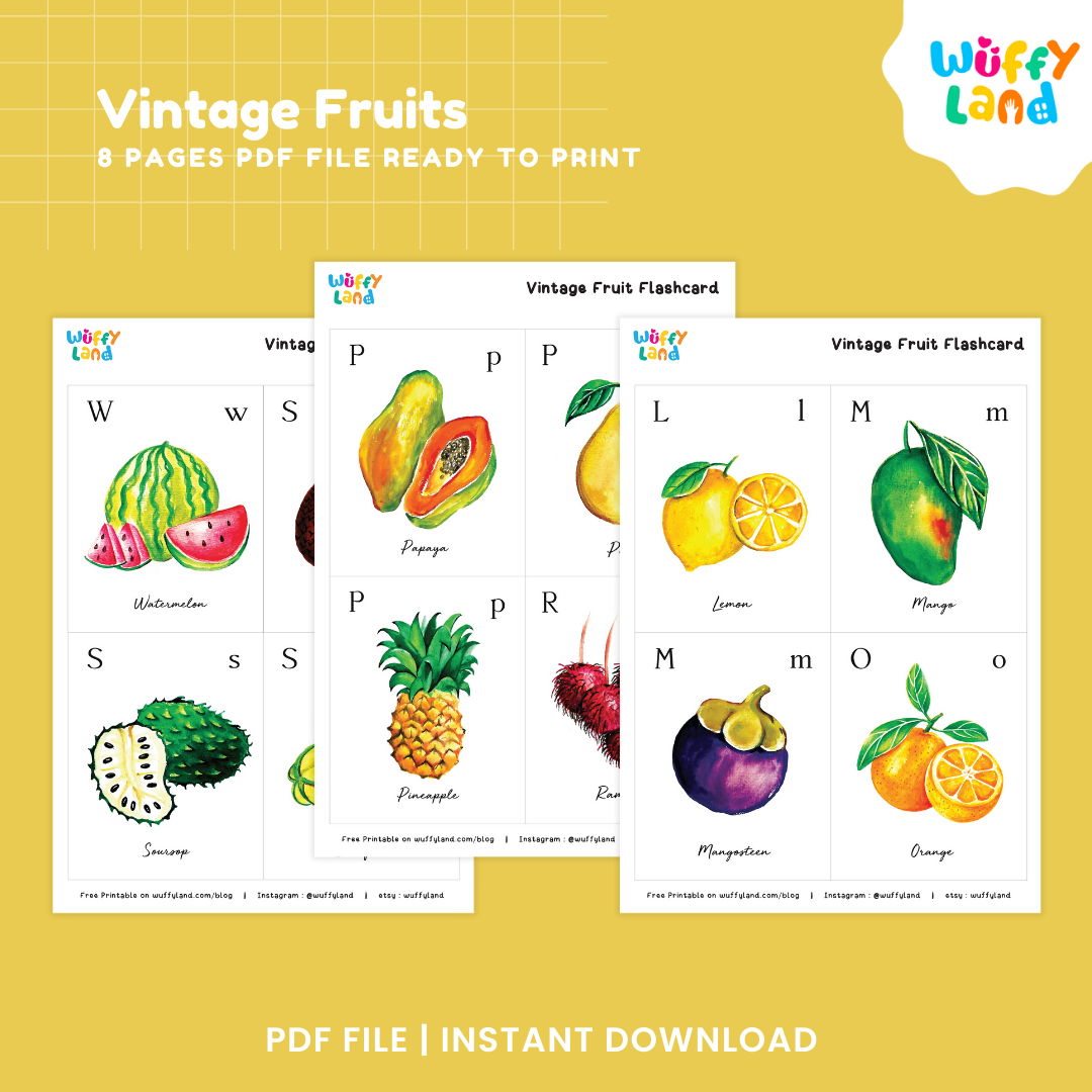 Vintage Fruit Flashcards – Retro-Style Fruit Vocabulary – wuffyplayandlearn