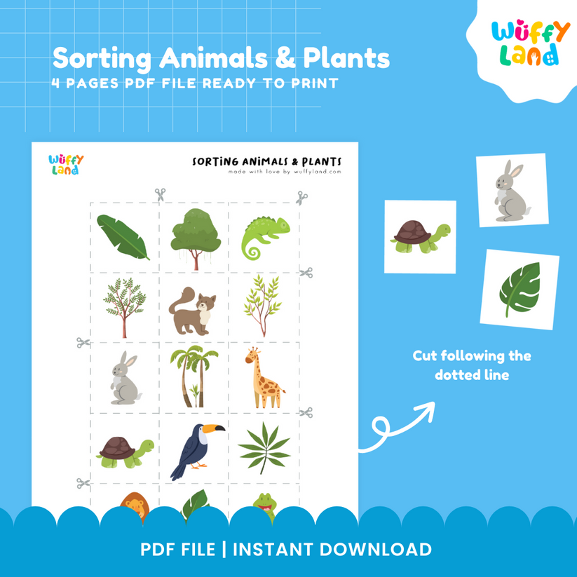 Sorting Animals & Plants – wuffyplayandlearn