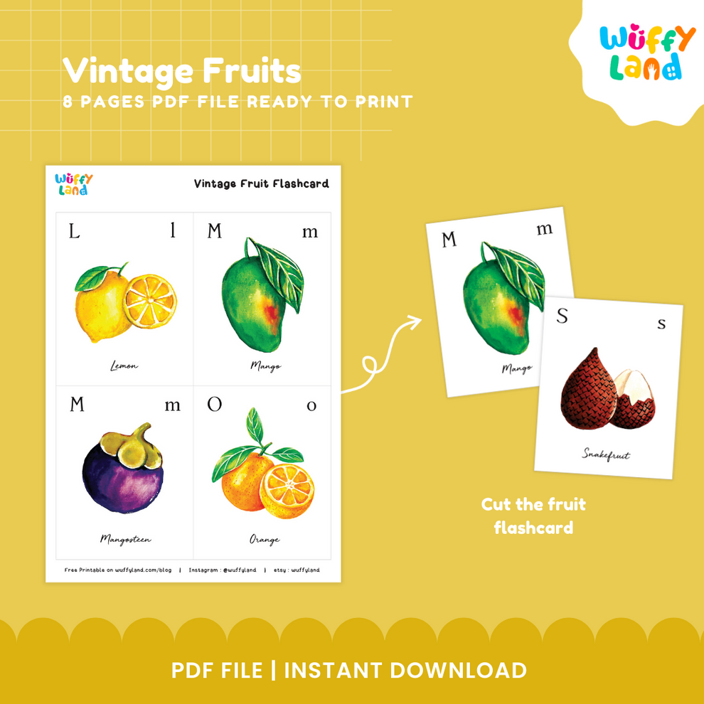 Vintage Fruit Flashcards – Retro-Style Fruit Vocabulary – wuffyplayandlearn