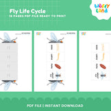 Fly Life Cycle Printable - Educational Science Activity for Kids - Mon ...